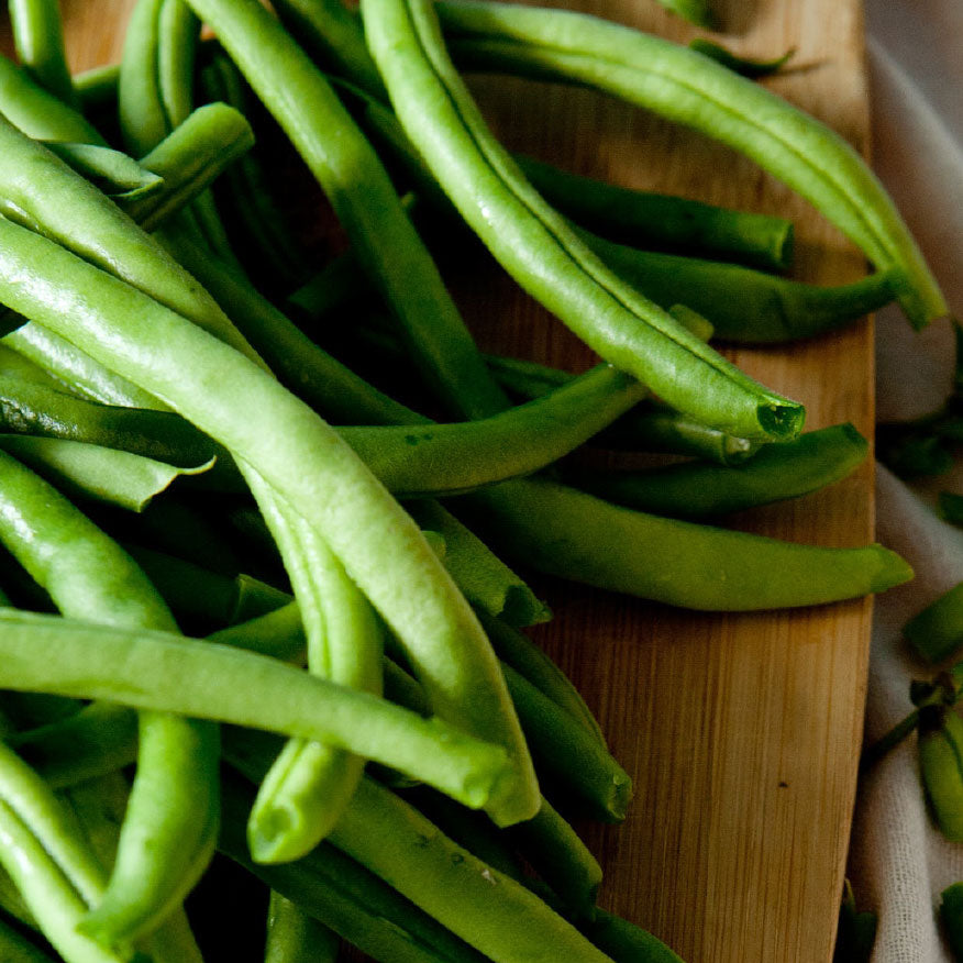 Organic Non-GMO Black Seeded Italian Pole Bean Seeds